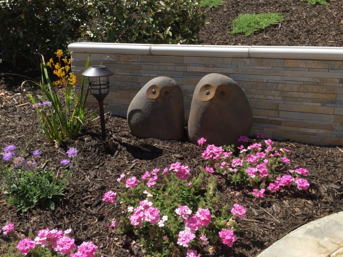 Walls And Terraces Mccabes Landscape Construction