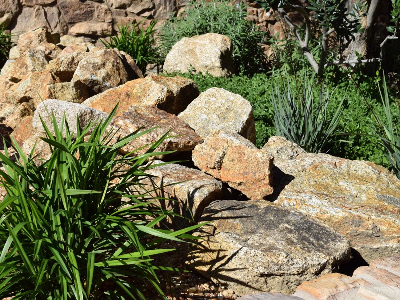 Mediterranean Gardens | McCabe's Landscape