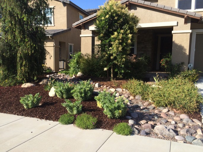 Dry River Stream Beds | McCabe's Landscape