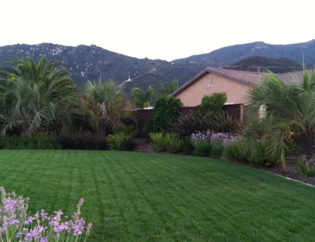 Bermuda Grass Care in Winter - McCabe's Landscape Construction