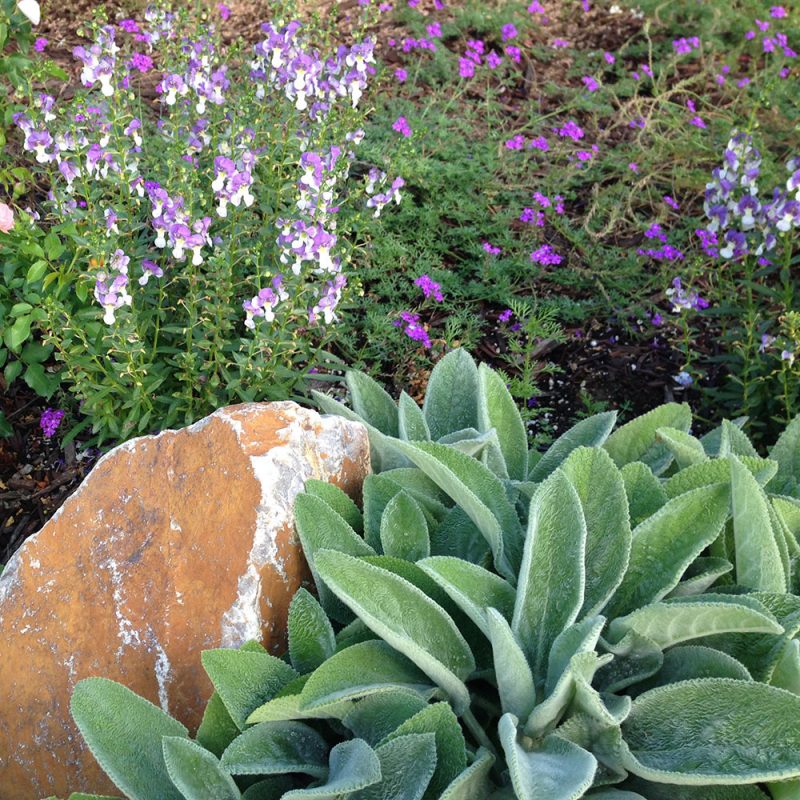 What is a Layered Garden? | McCabe's Landscape