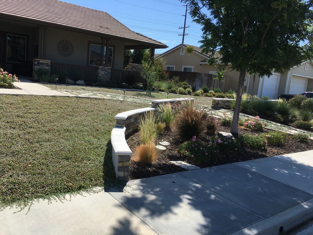 Grass Alternatives | McCabe's Landscape
