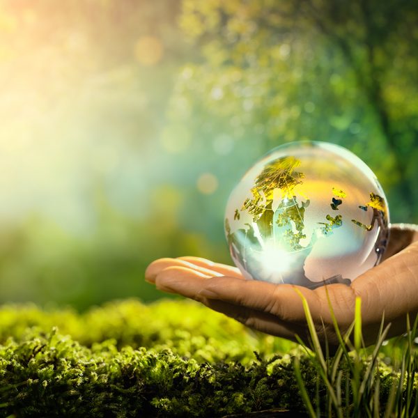 Best TED Talks on Nature and the Outdoors | McCabe's Landscape Construction