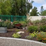 Using Focal Points in Landscape Design | McCabe's Landscape Construction