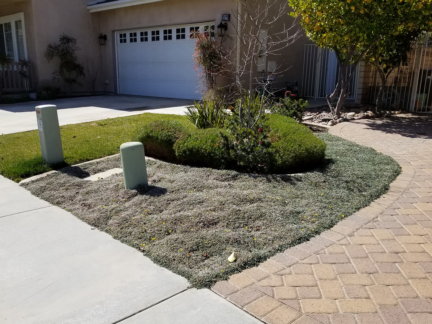 Grass Alternatives - McCabe's Landscape Construction