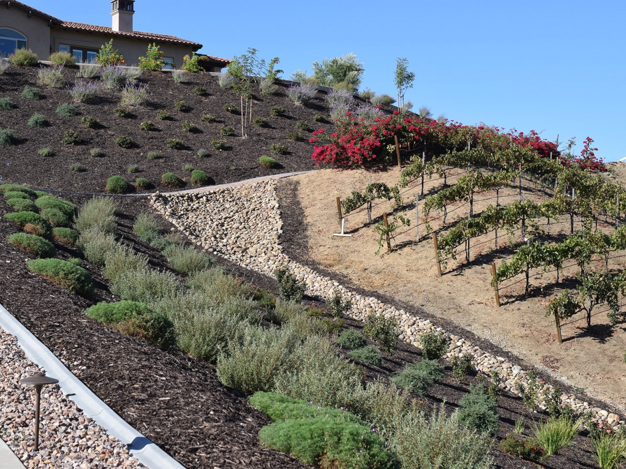 Dry River Stream Beds | McCabe's Landscape