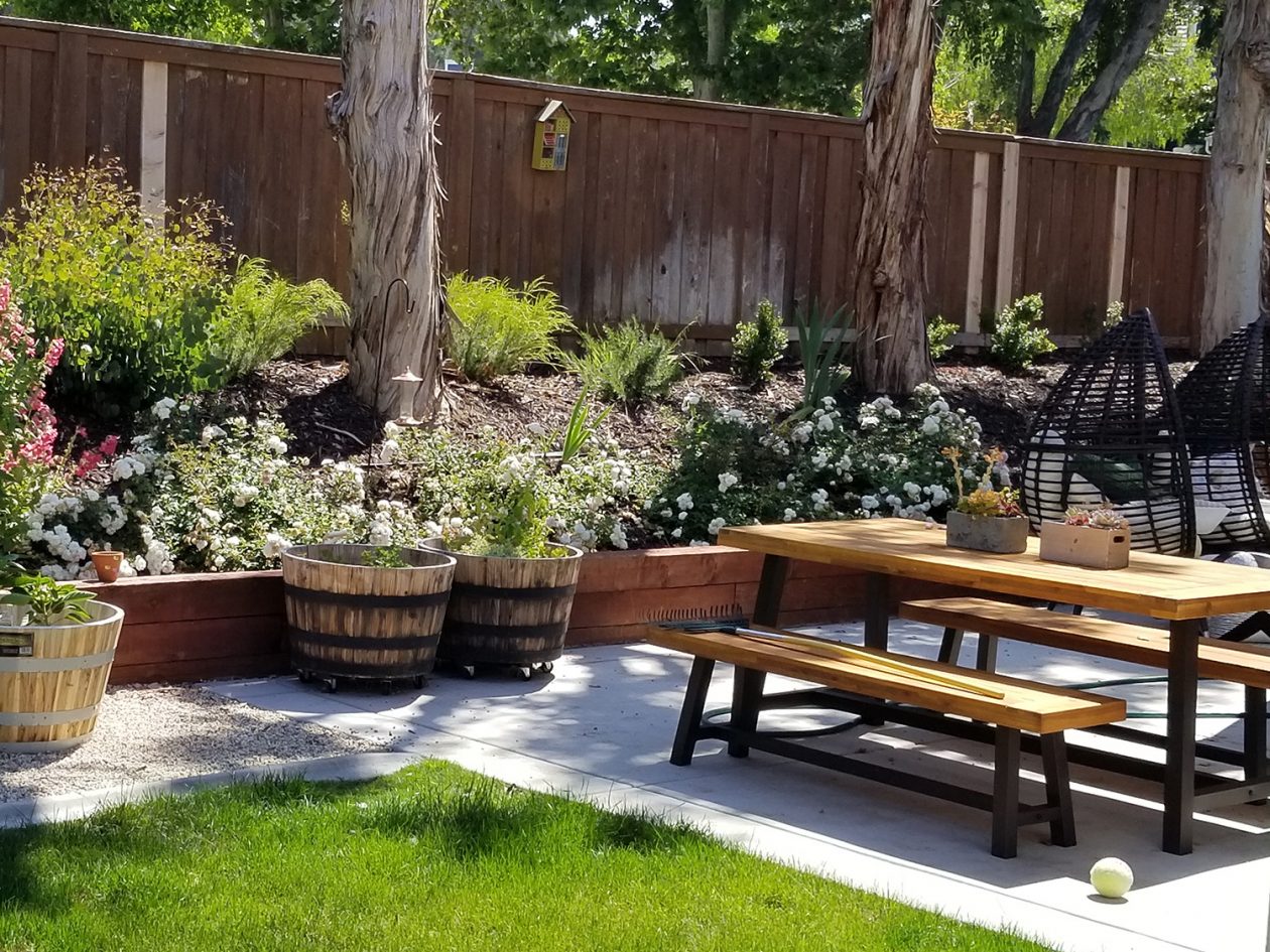 Rewilding Your Yard | McCabe's Landscape