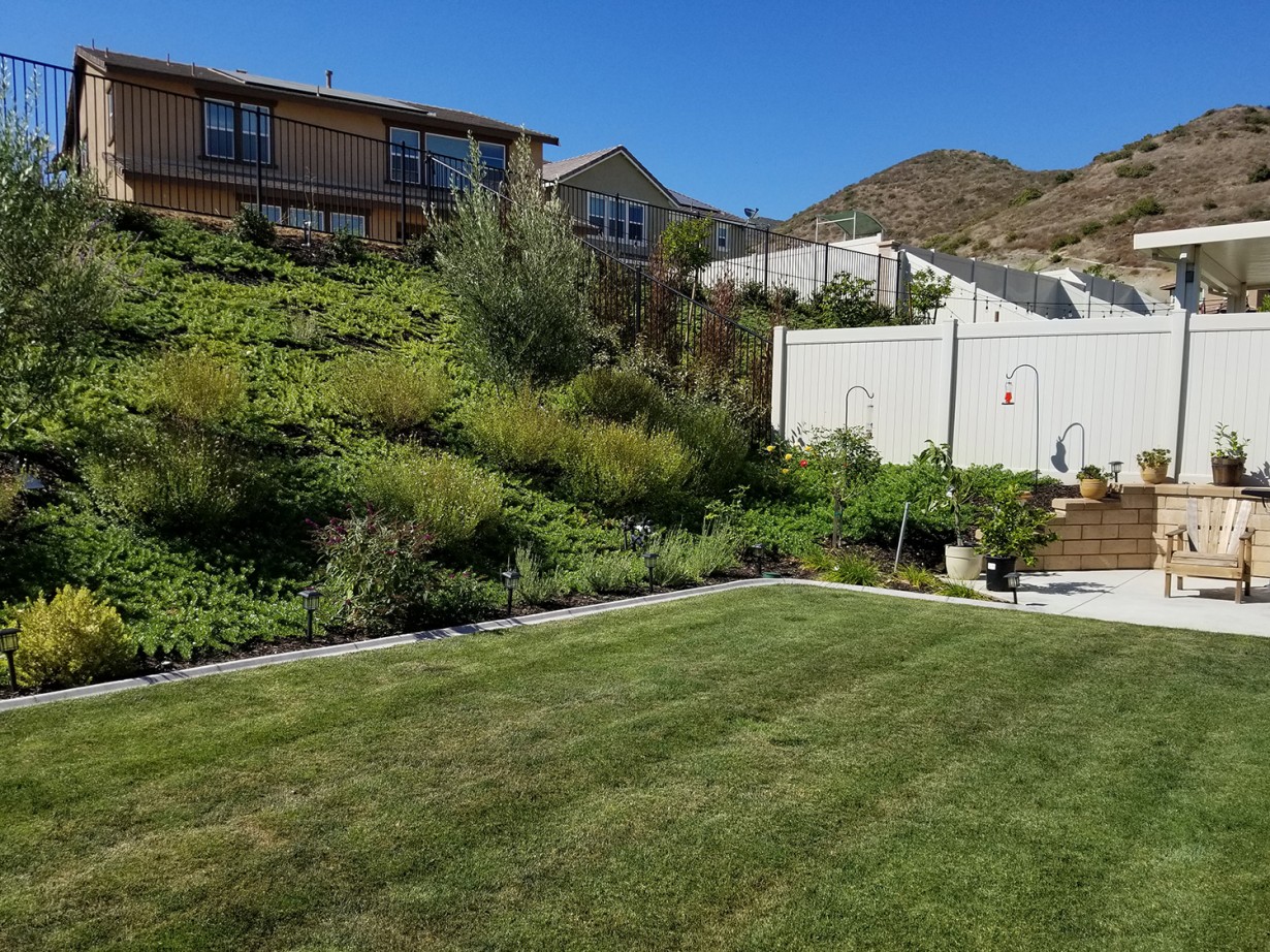 Landscaping Options for Steep Slopes