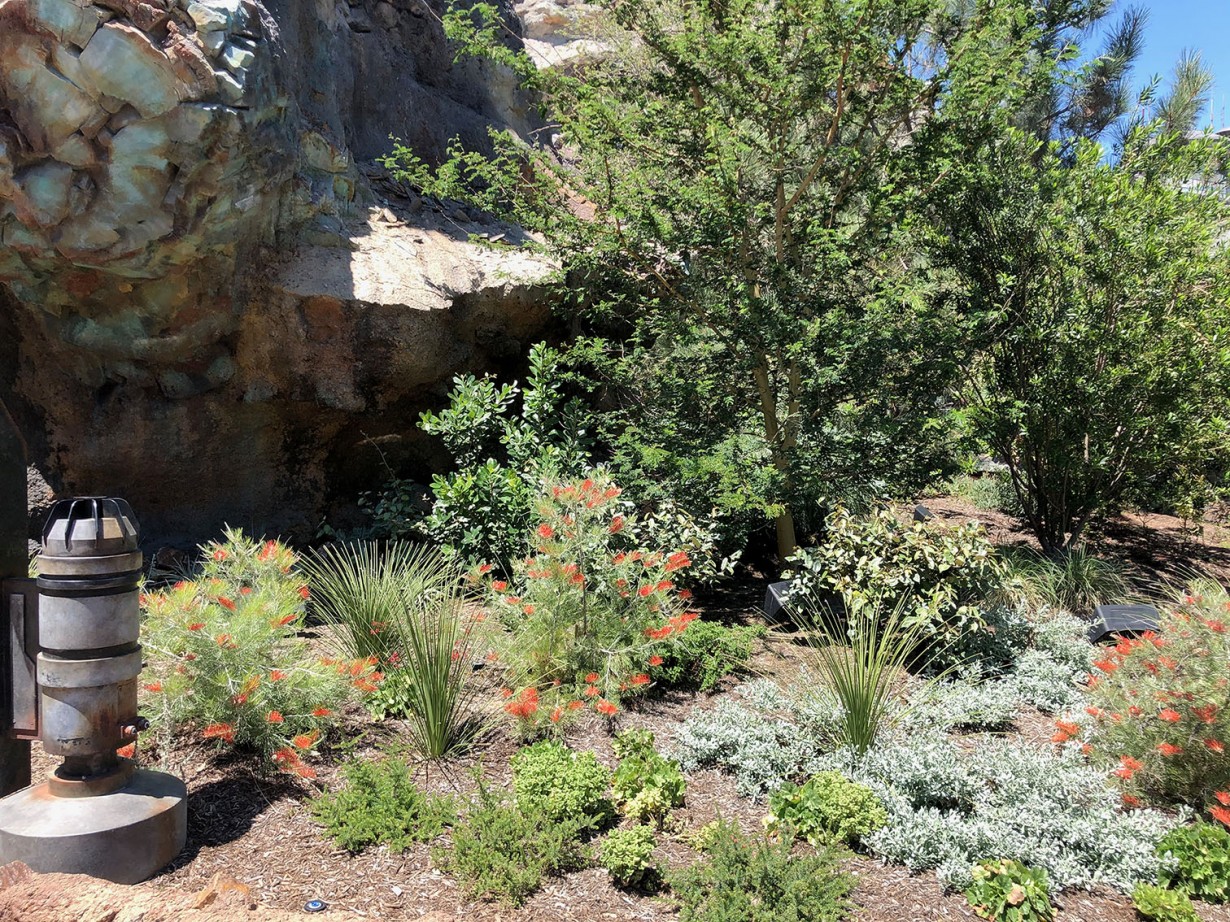 Six Great Gardening Lessons from Disney | McCabe's Landscape