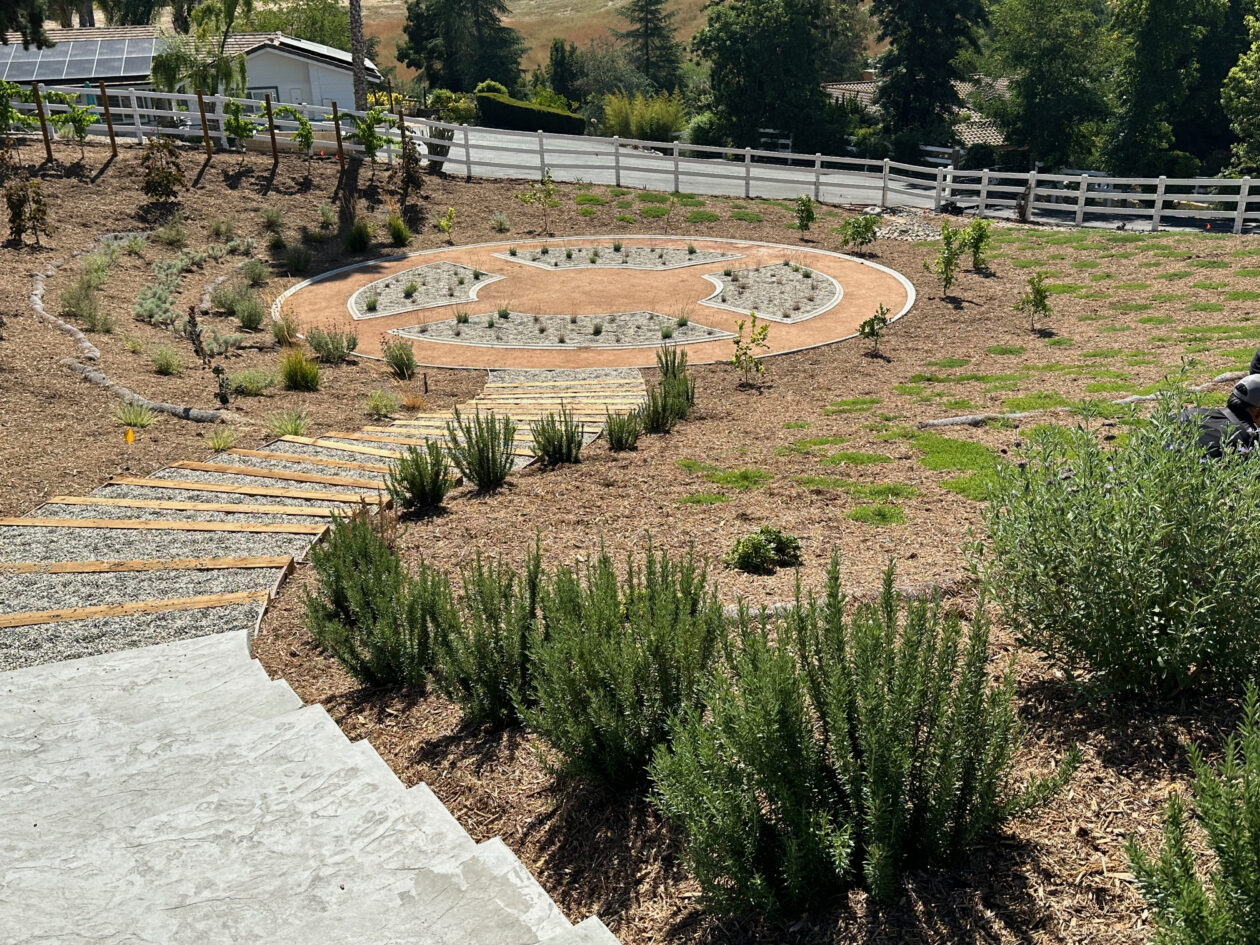 The Beauty of Eco-Friendly Landscaping | McCabe's Landscape Construction
