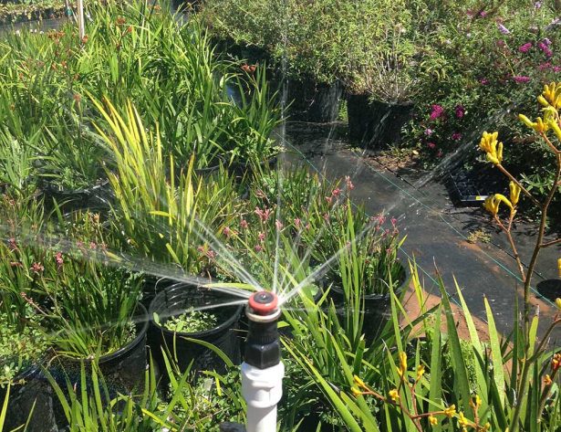 How to Know if Your Irrigation System is Leaking | McCabe's Landscape